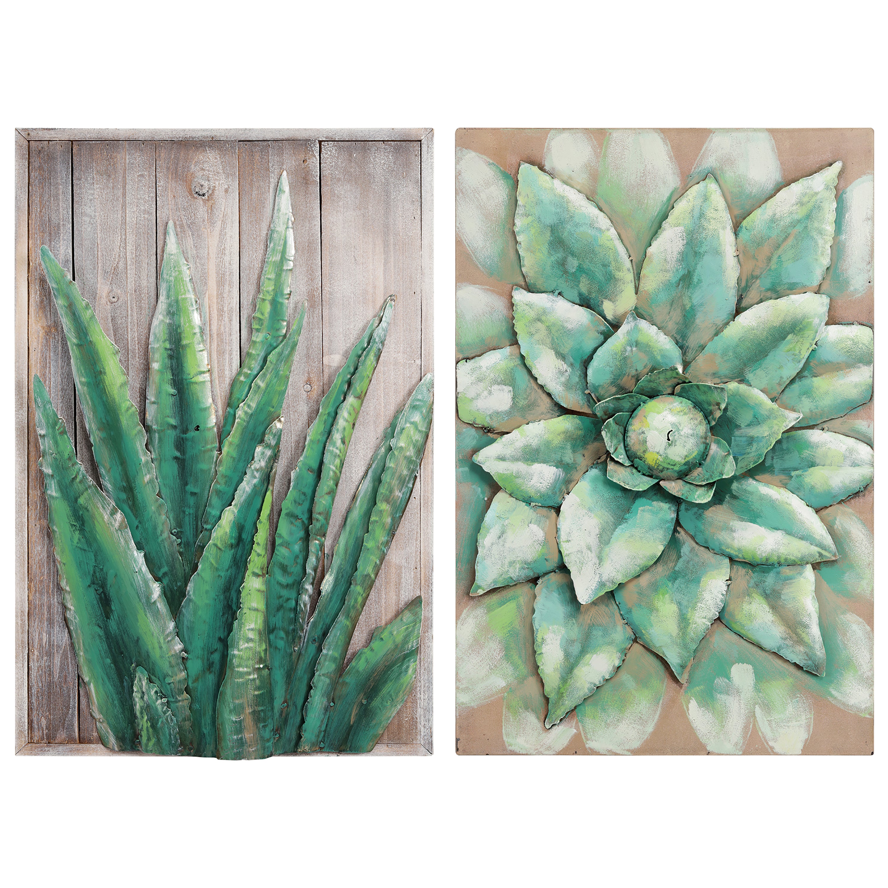 Succulent 1 And 2 Empire Art Direct